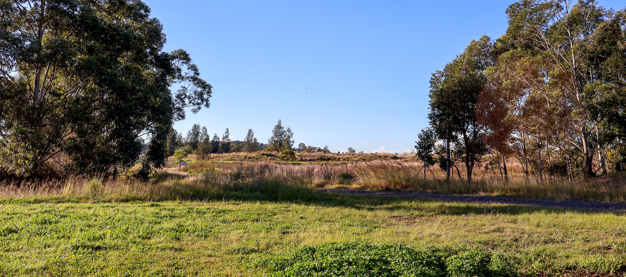 Anambah landfill site future use | Maitland City Council